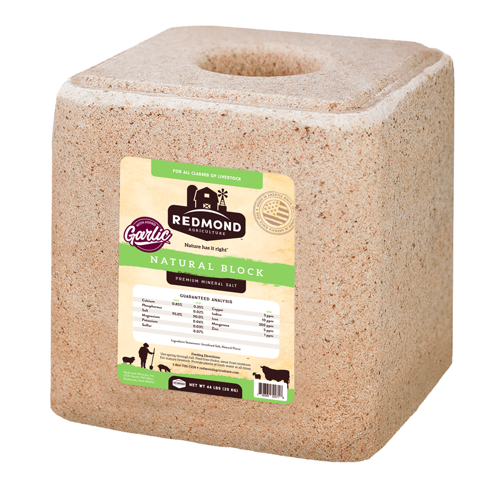 Redmond Salt Natural Block with Garlic – Maddock Ranch Supply